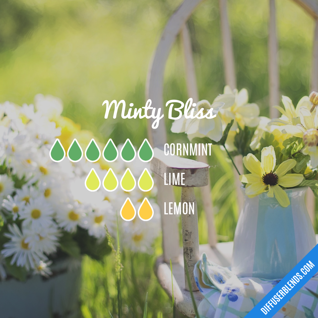 Minty Bliss | DiffuserBlends.com