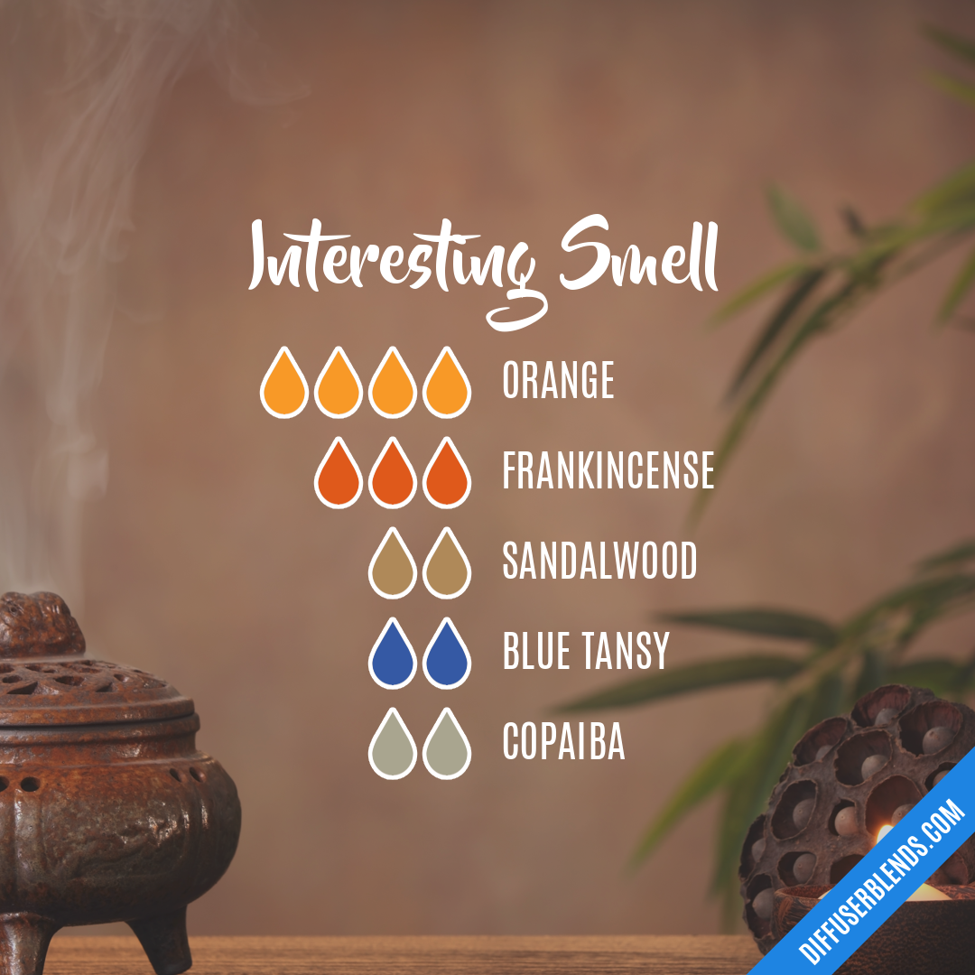 Interesting Smell | DiffuserBlends.com