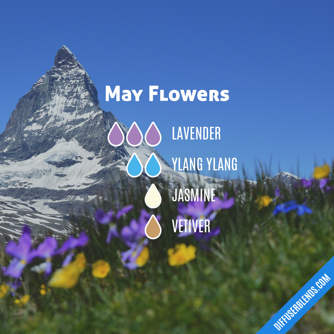May Flowers | DiffuserBlends.com