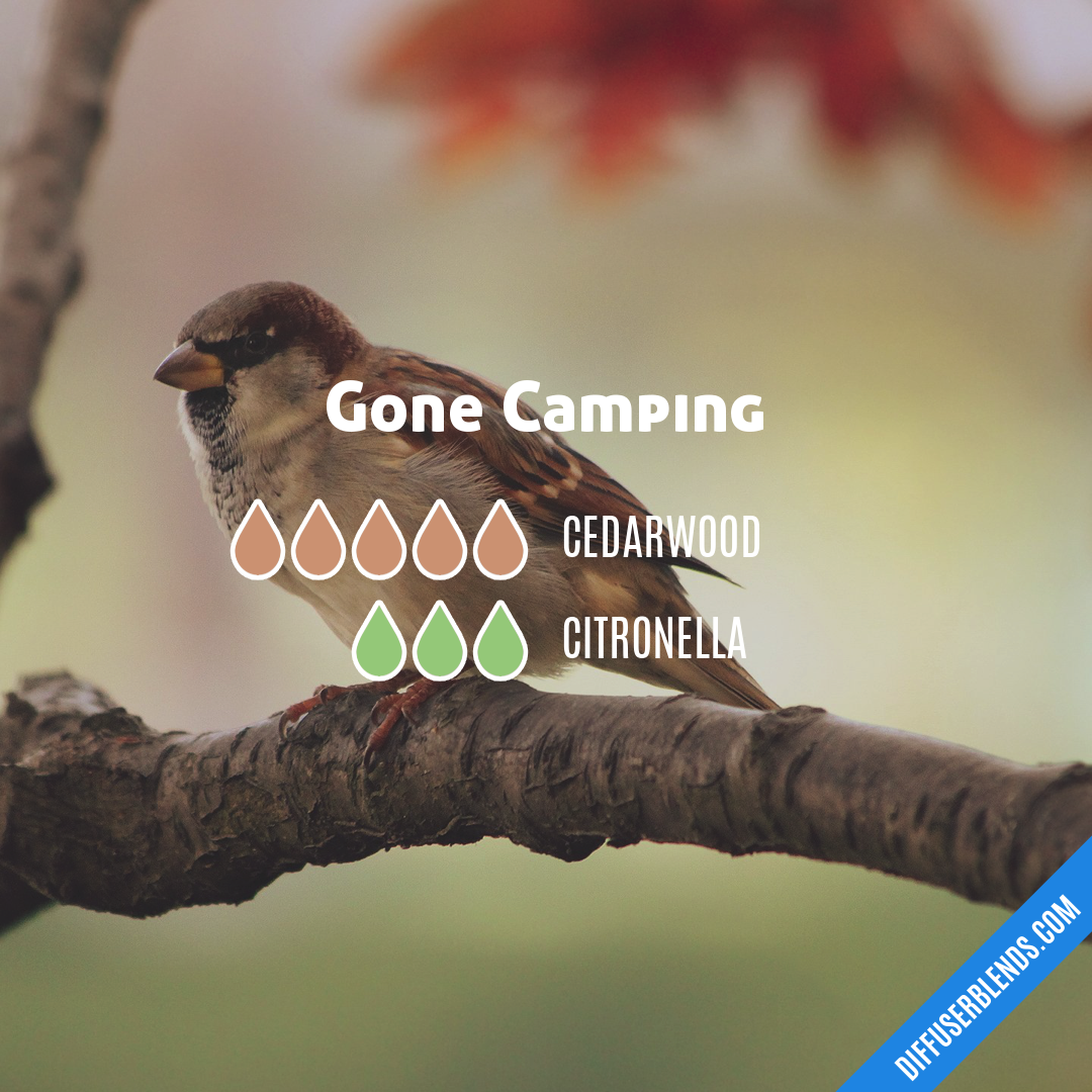 Gone Camping | DiffuserBlends.com