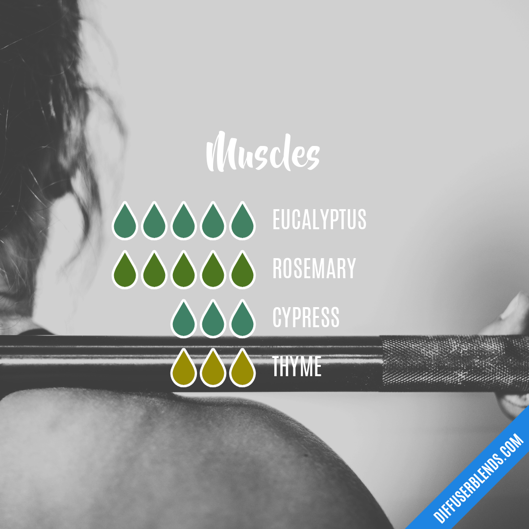 Muscles | DiffuserBlends.com