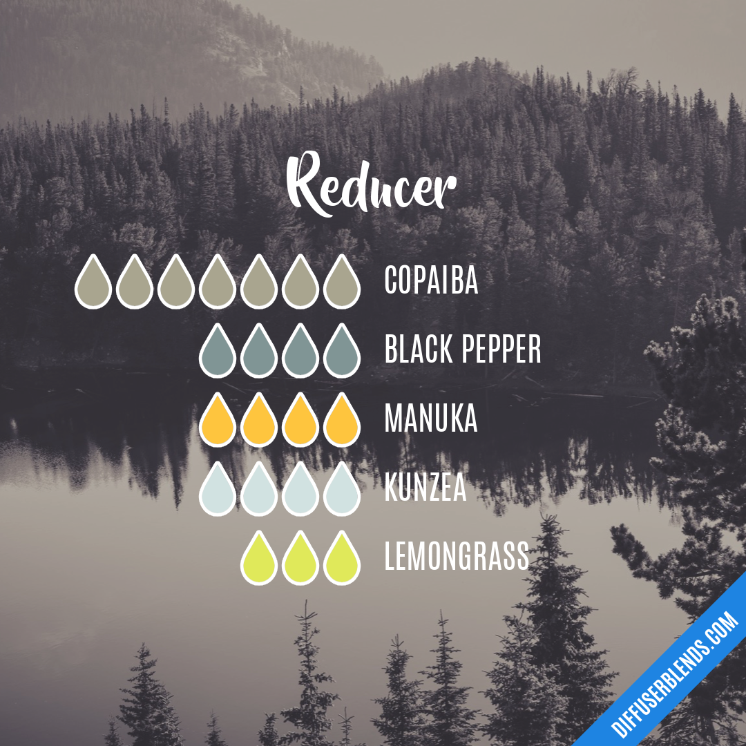 Reducer | DiffuserBlends.com