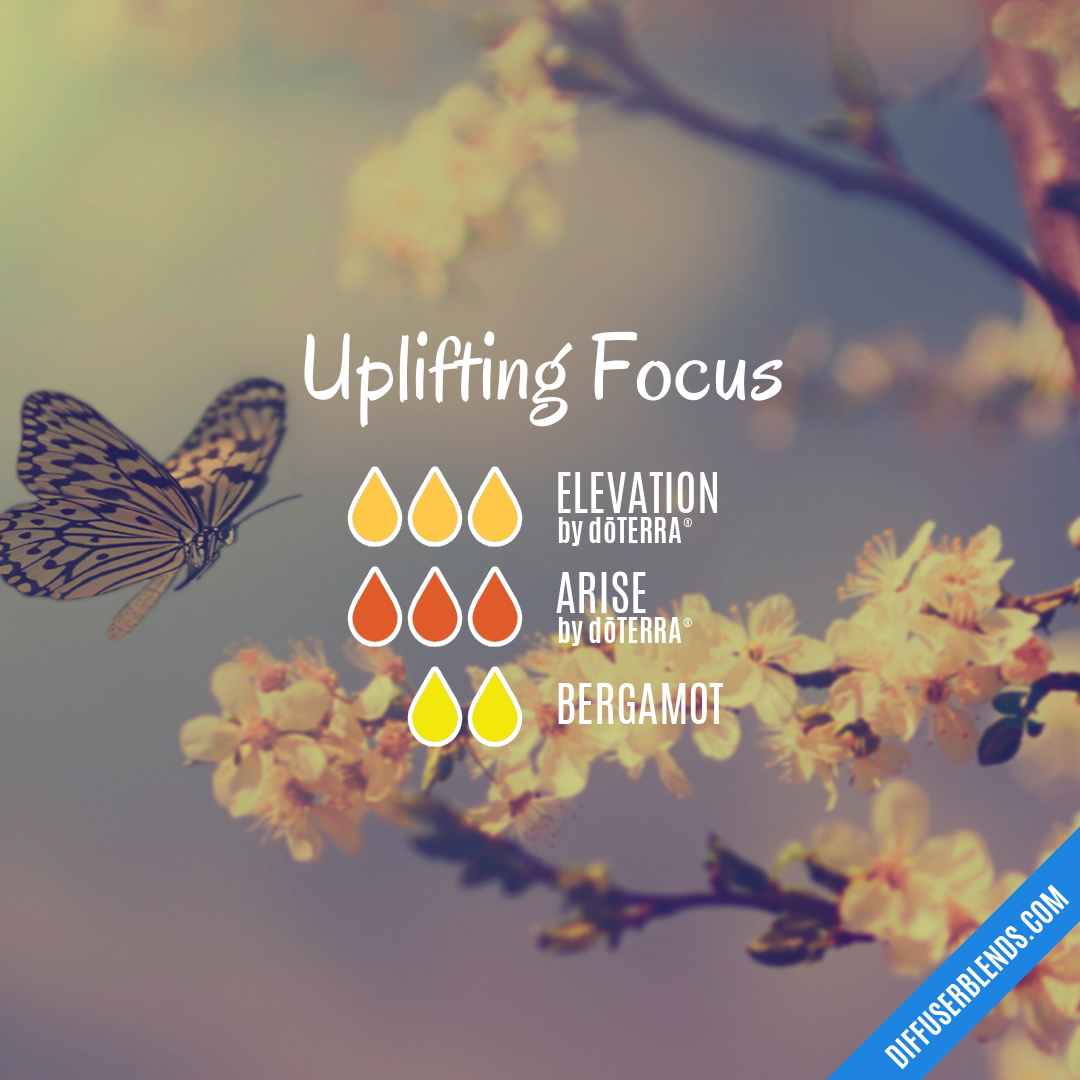 Uplifting Focus | DiffuserBlends.com