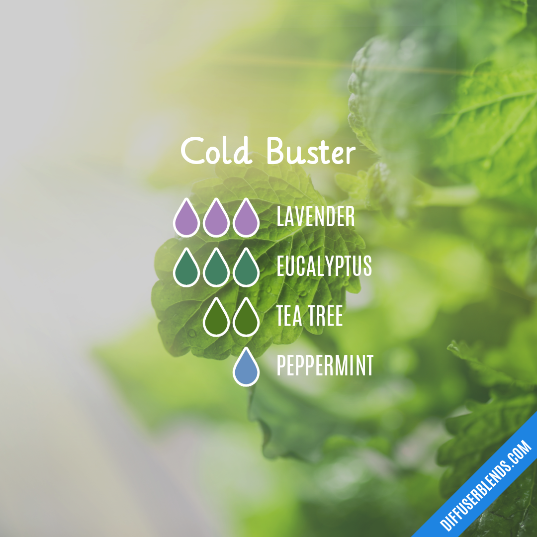 Cold Buster | DiffuserBlends.com