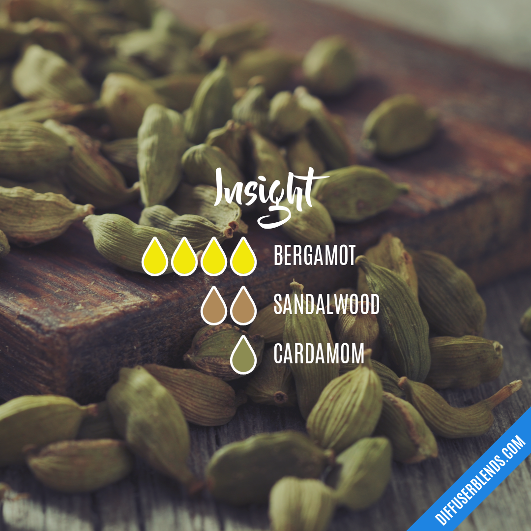 Insight | DiffuserBlends.com