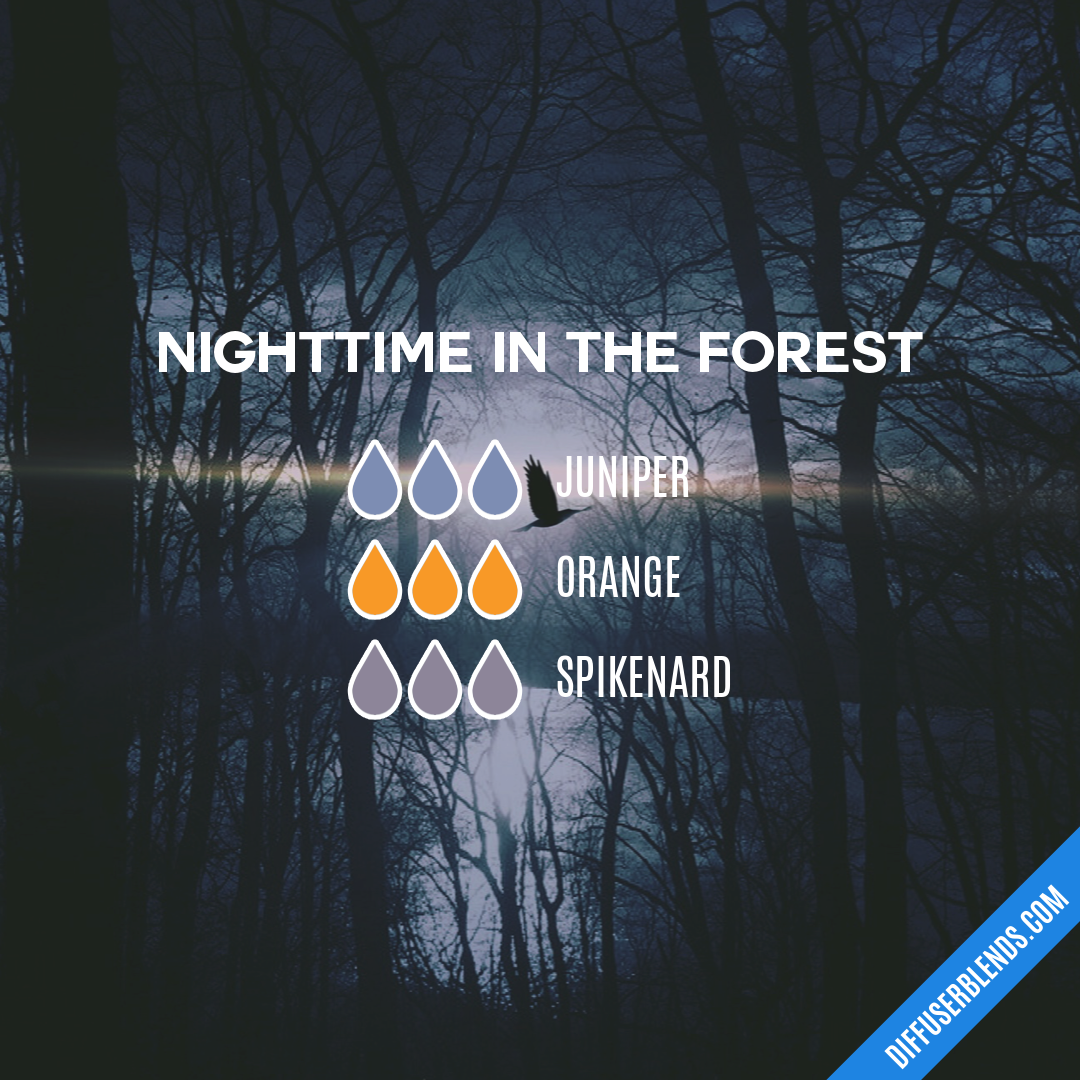 Nighttime in the Forest | DiffuserBlends.com