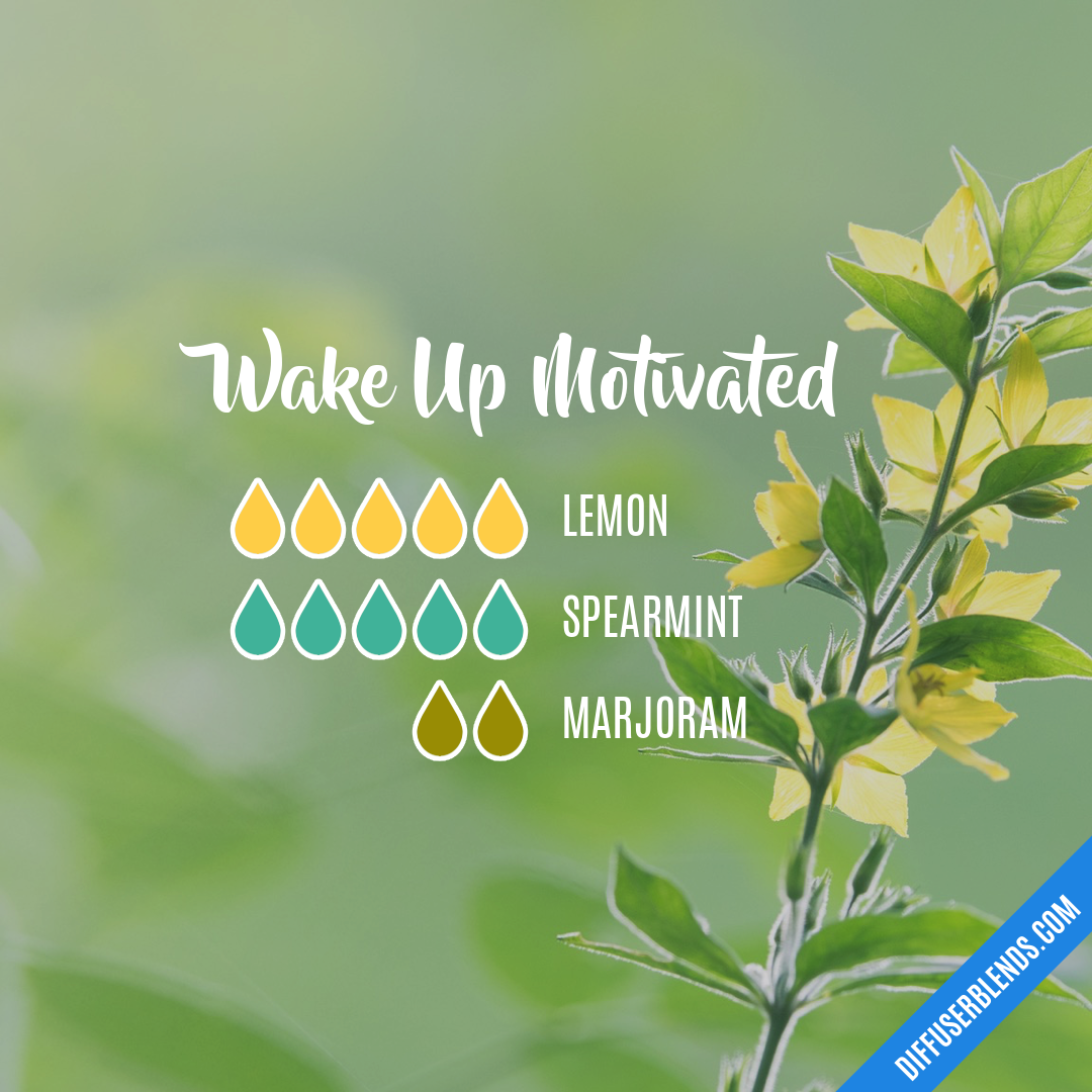 Wake Up Motivated | DiffuserBlends.com