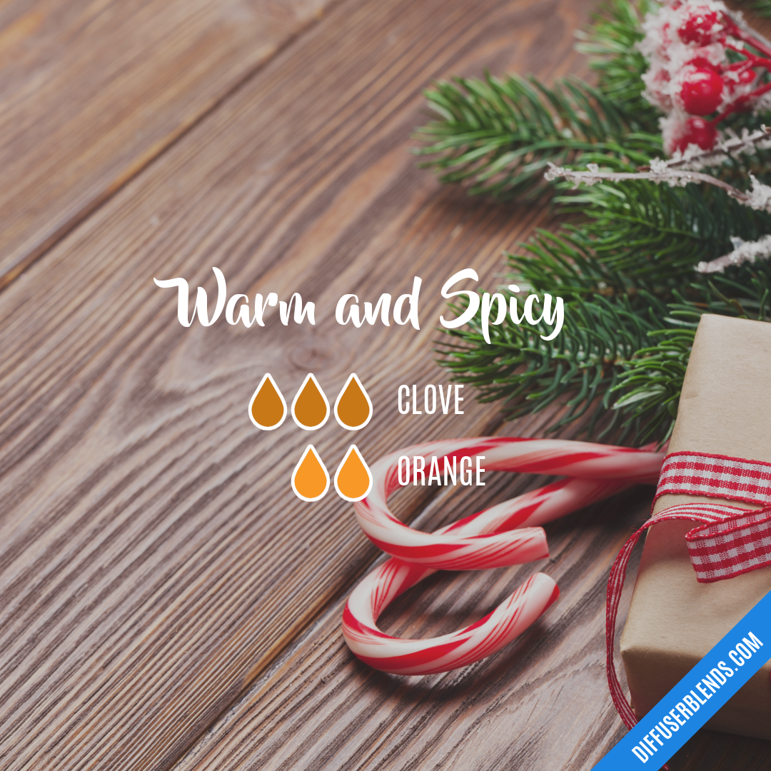 Warm and Spicy | DiffuserBlends.com