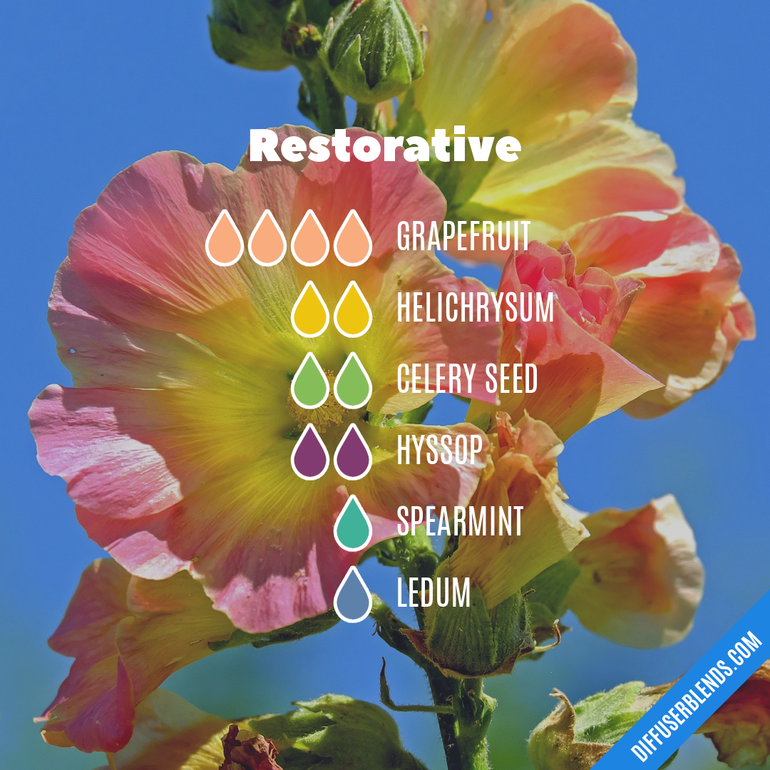 Restorative | DiffuserBlends.com