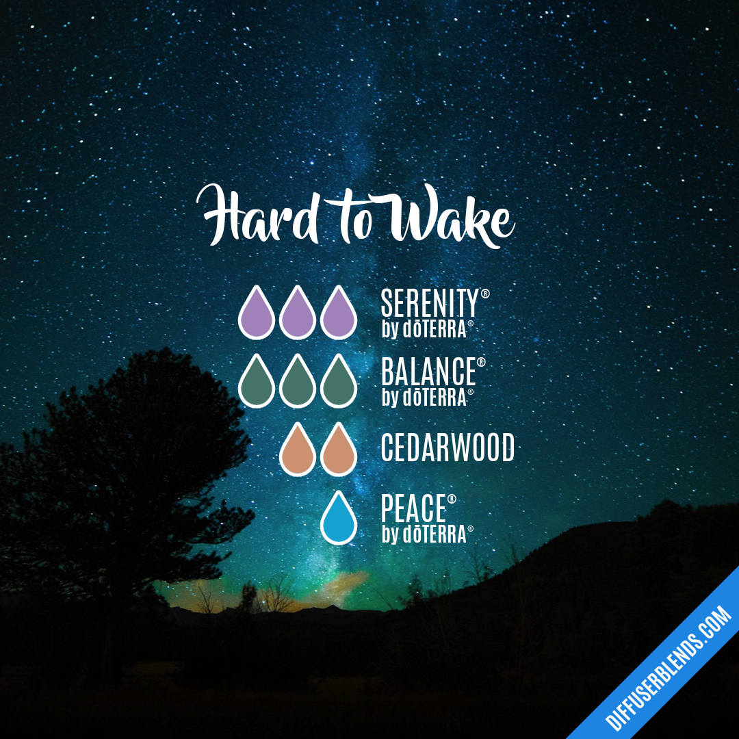 Hard to Wake | DiffuserBlends.com