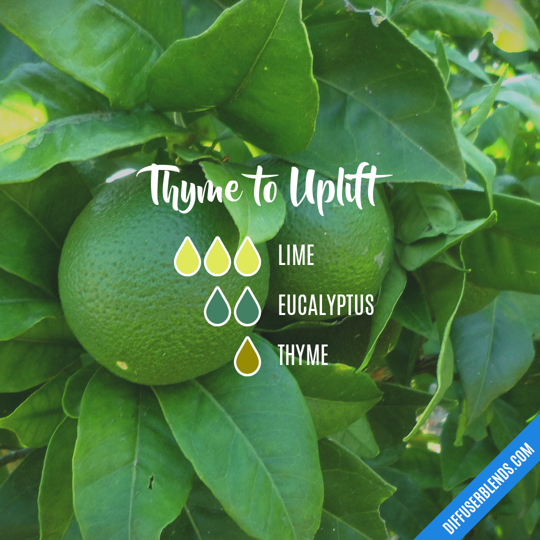 Thyme to Uplift | DiffuserBlends.com