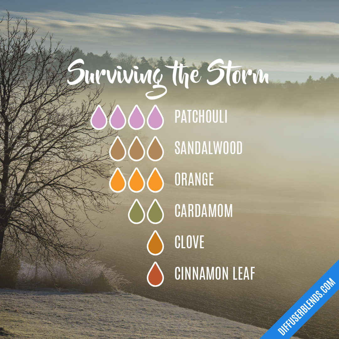 Surviving the Storm | DiffuserBlends.com