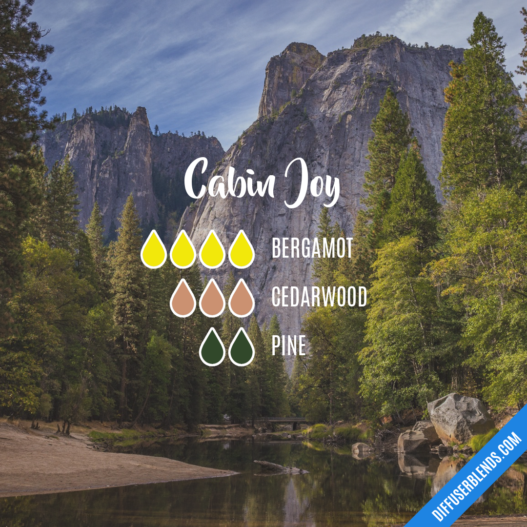 Cabin Joy | DiffuserBlends.com