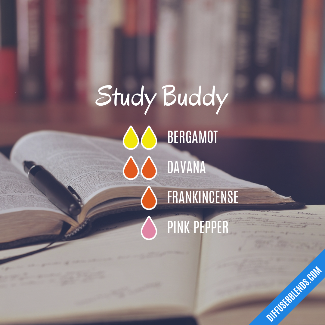 Study Buddy | DiffuserBlends.com