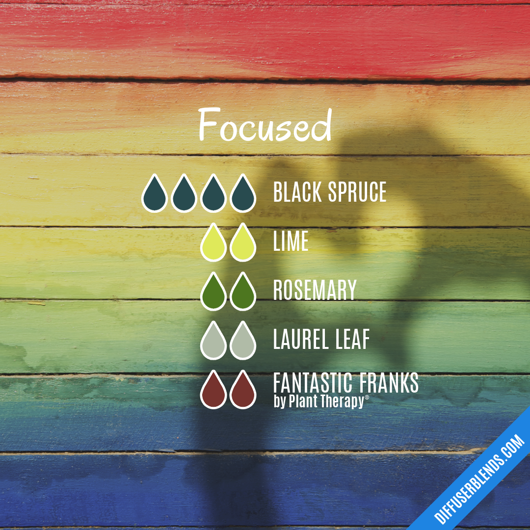 Focused | DiffuserBlends.com