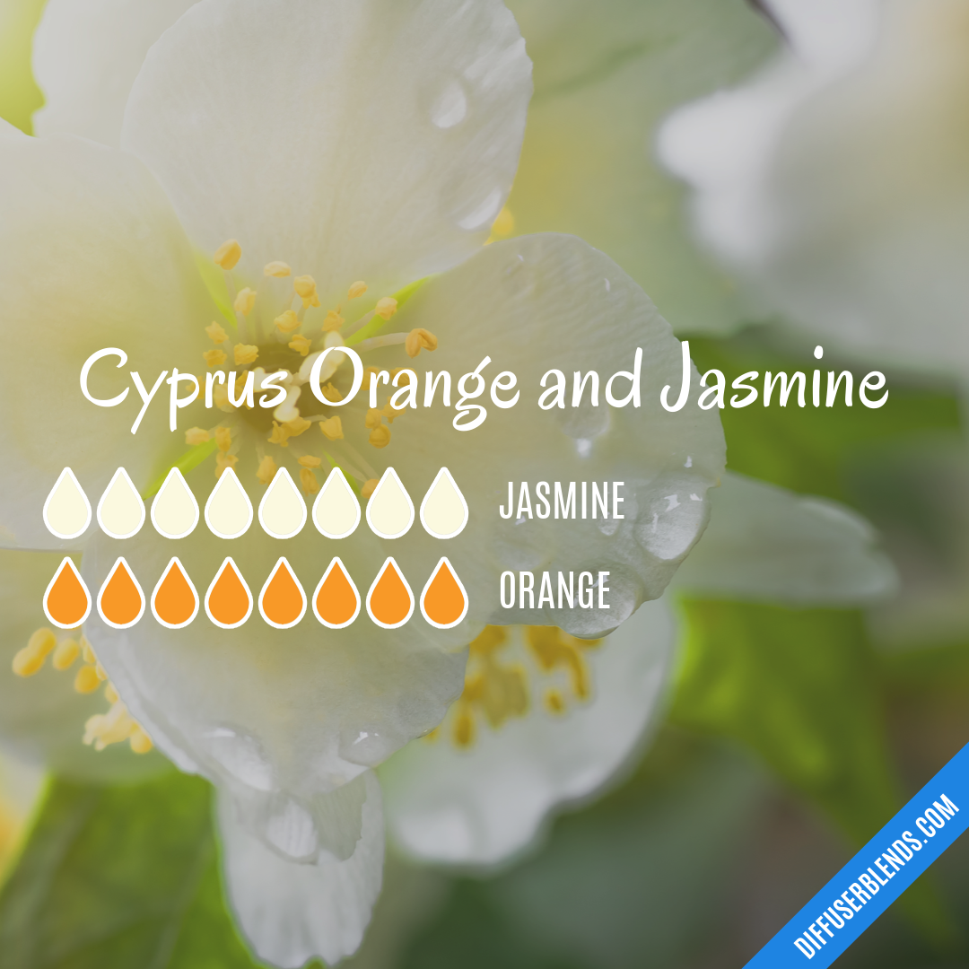 Cyprus Orange and Jasmine | DiffuserBlends.com