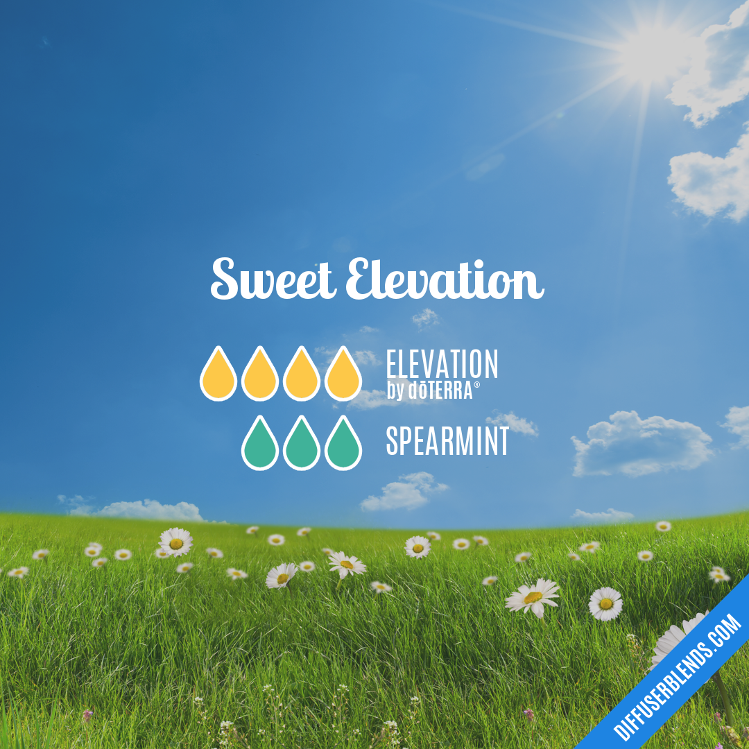 Sweet Elevation | DiffuserBlends.com
