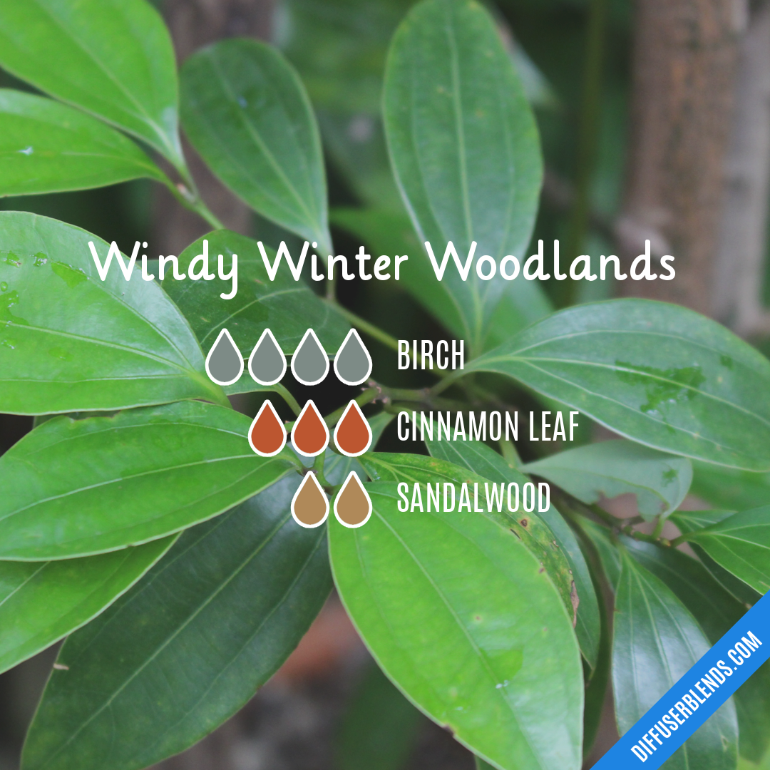 Windy Winter Woodlands | DiffuserBlends.com