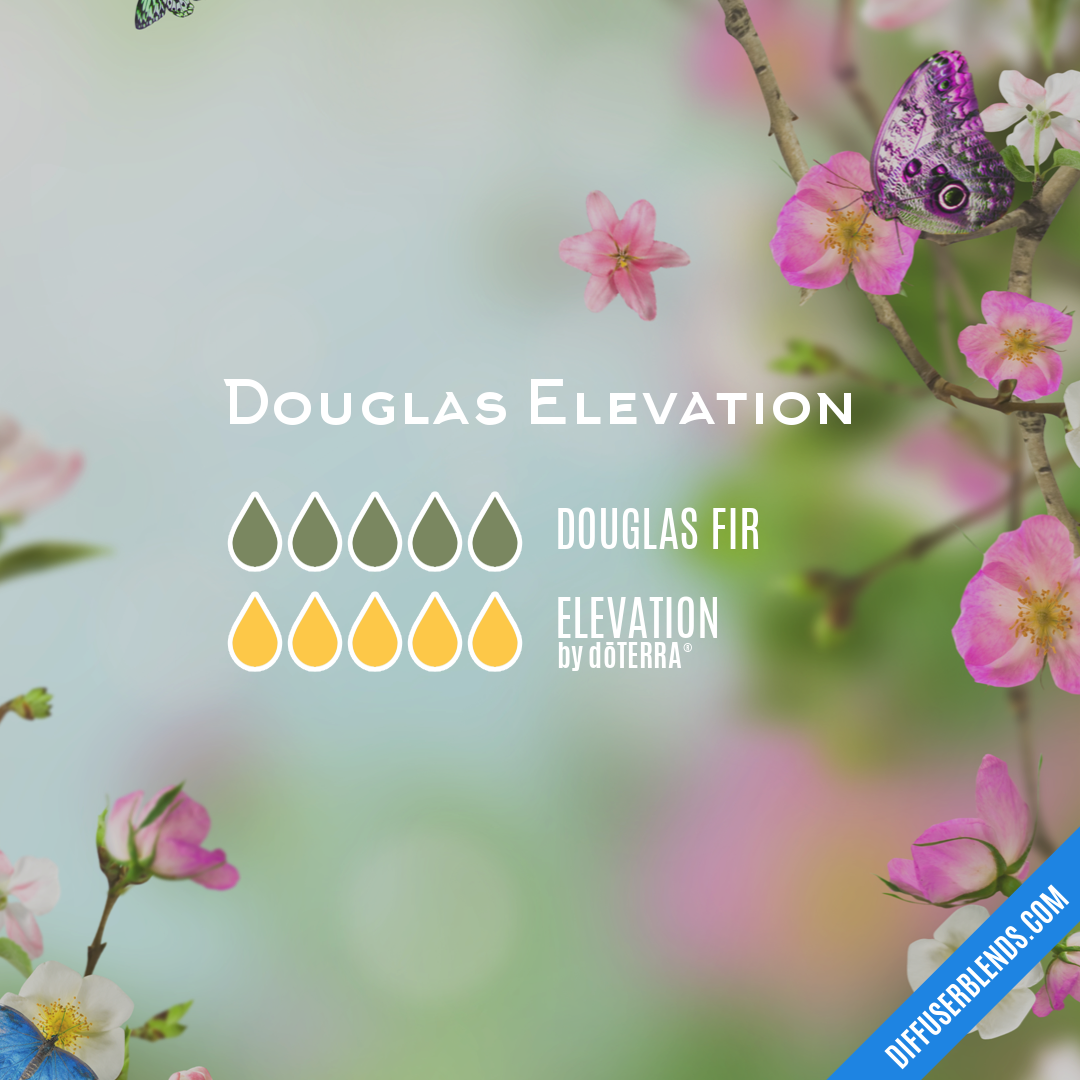 Douglas Elevation | DiffuserBlends.com