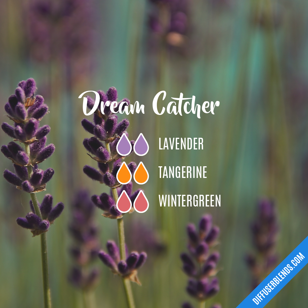 Dream Catcher | DiffuserBlends.com