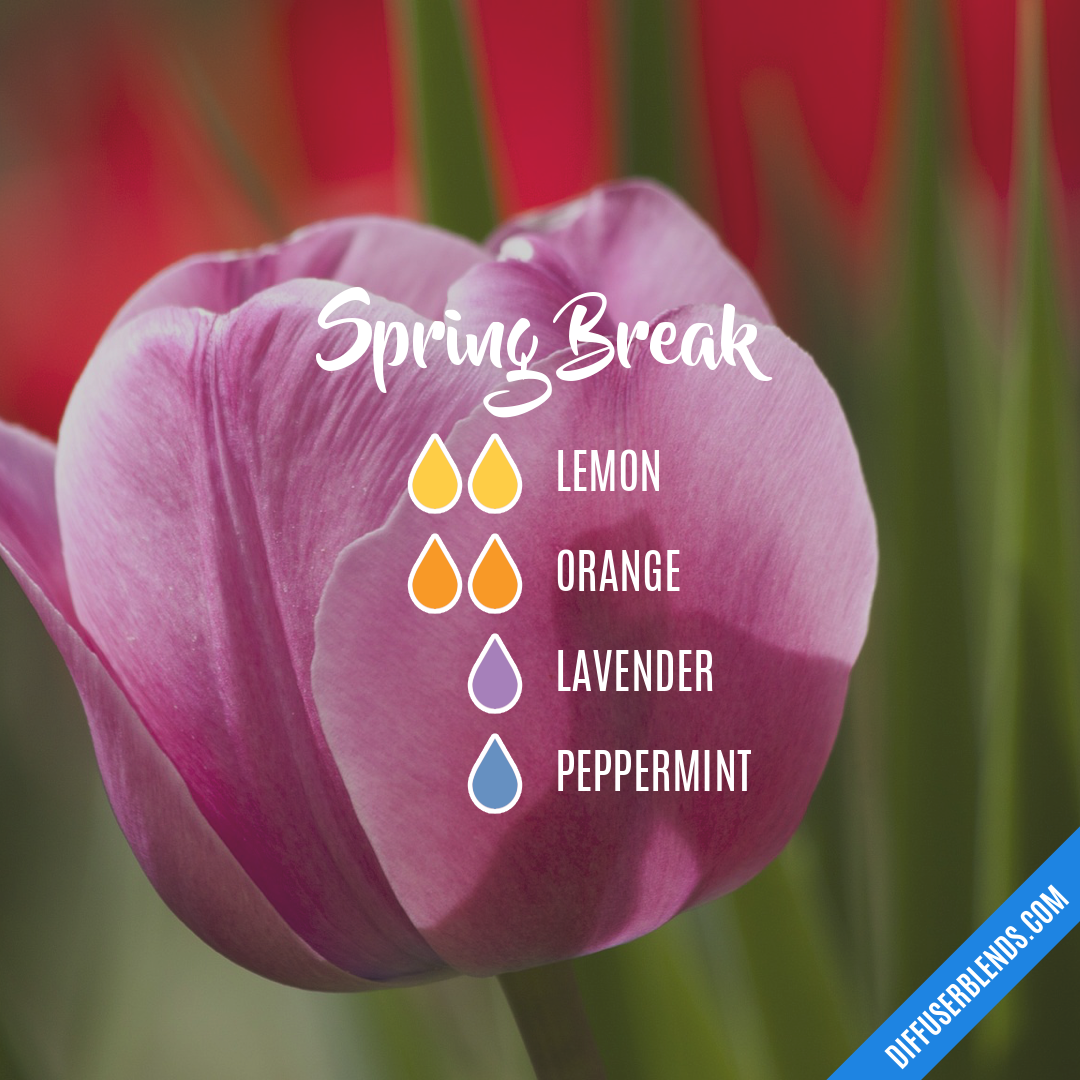 Spring Break | DiffuserBlends.com