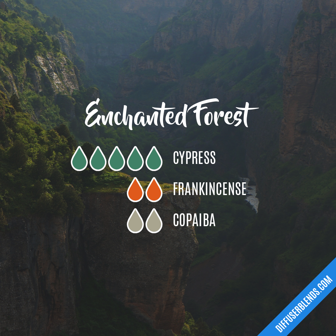 Enchanted Forest | DiffuserBlends.com