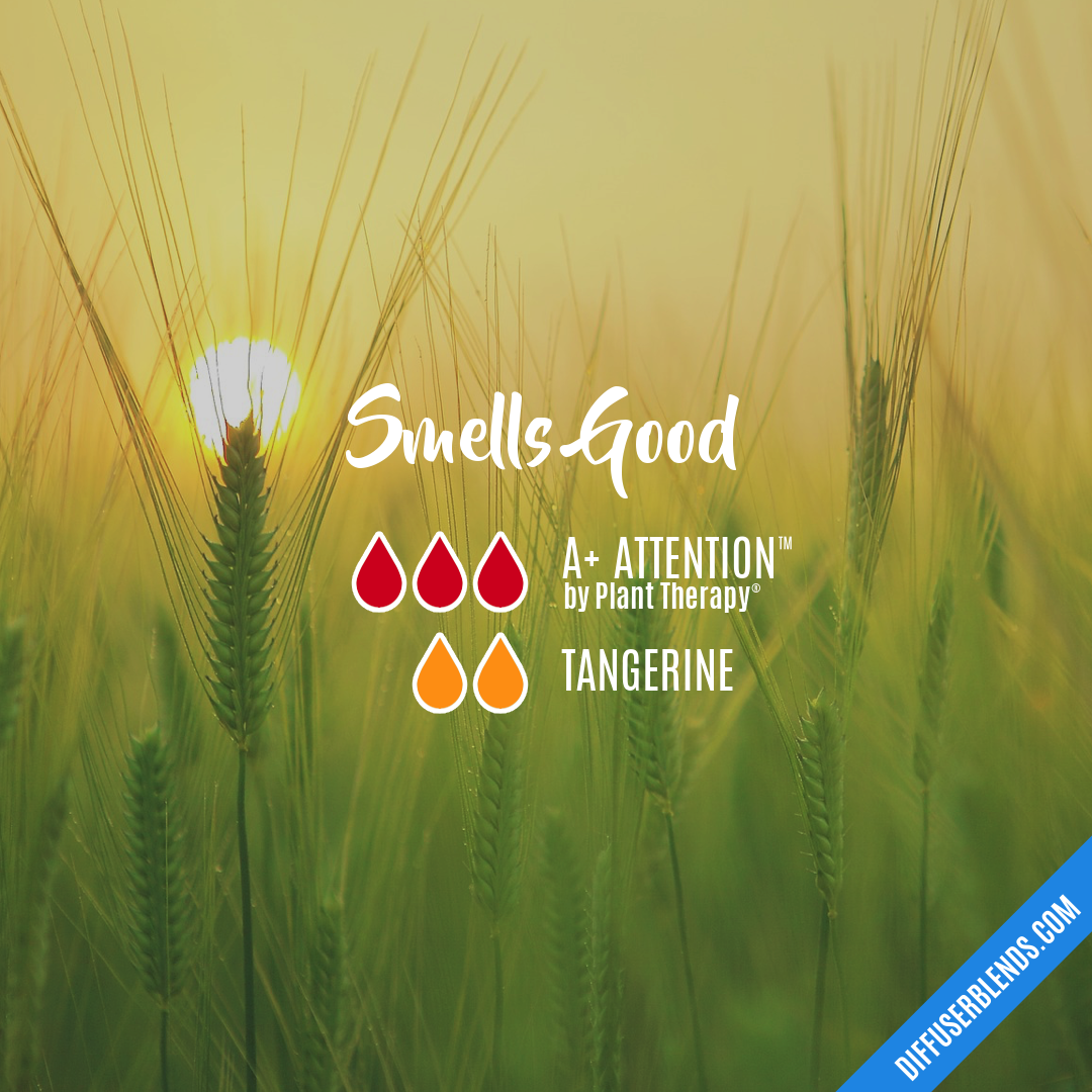 Smells Good | DiffuserBlends.com