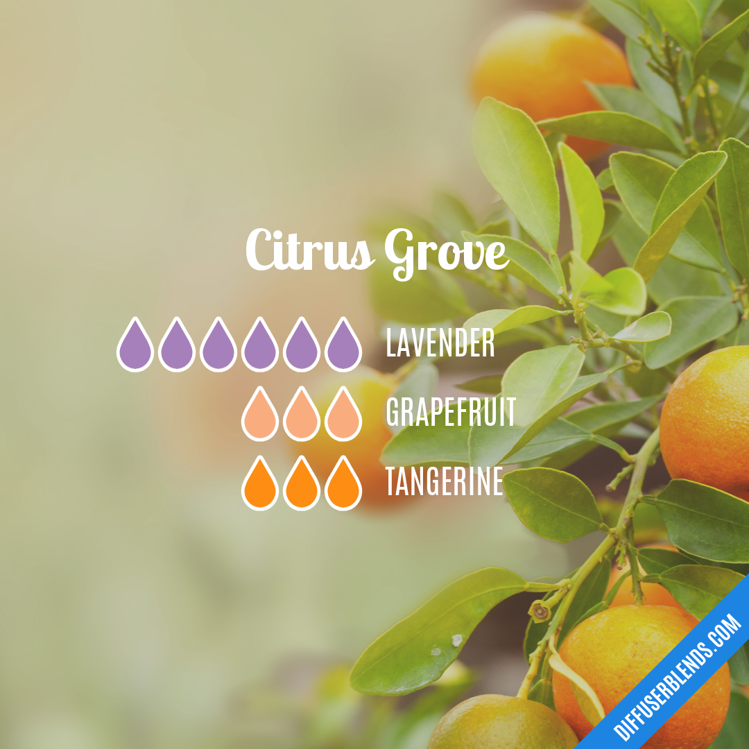 Citrus Grove | DiffuserBlends.com