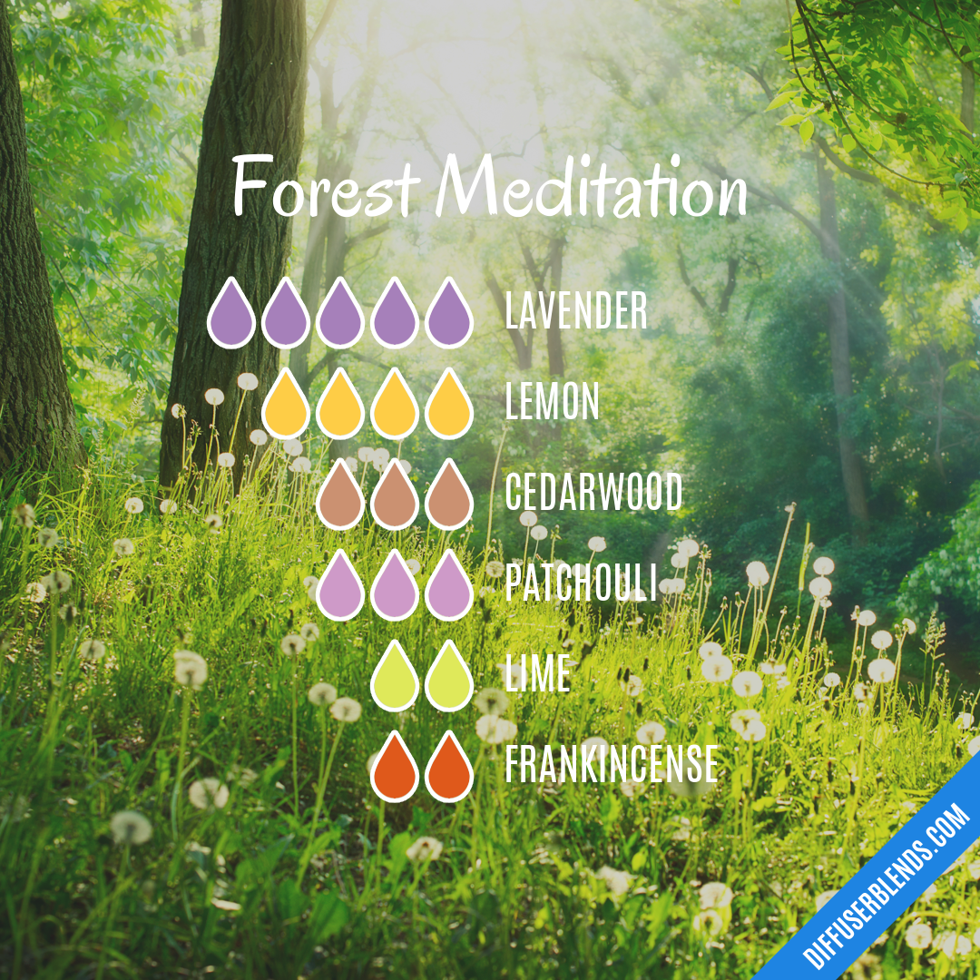 Forest Meditation | DiffuserBlends.com