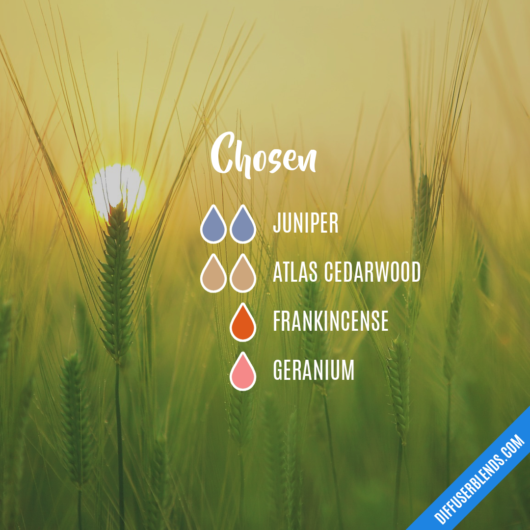 Chosen | DiffuserBlends.com