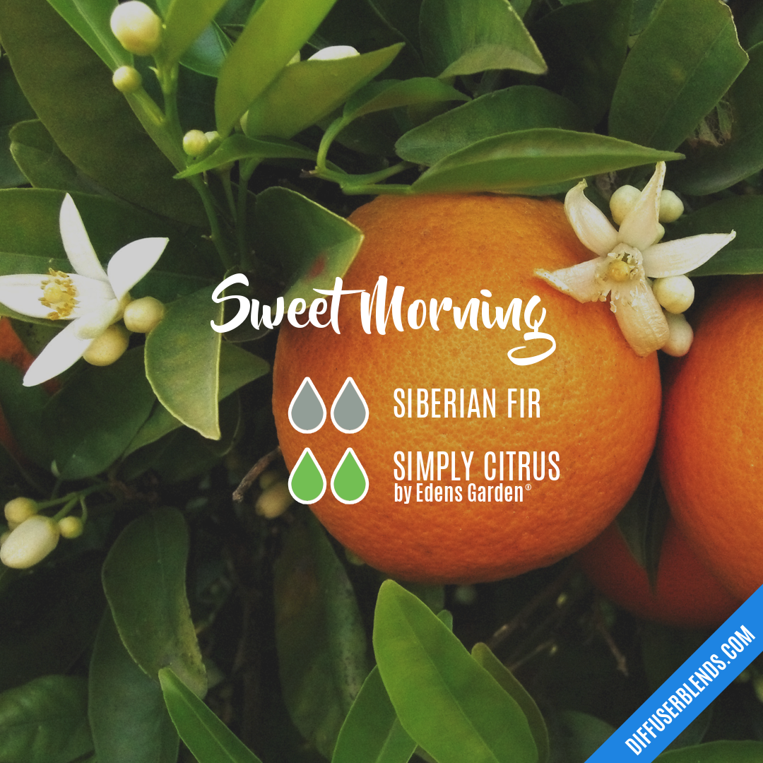 Sweet Morning | DiffuserBlends.com