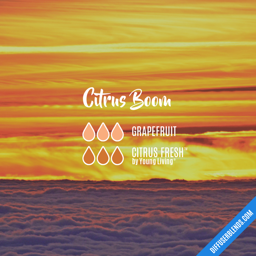 Citrus Boom | DiffuserBlends.com