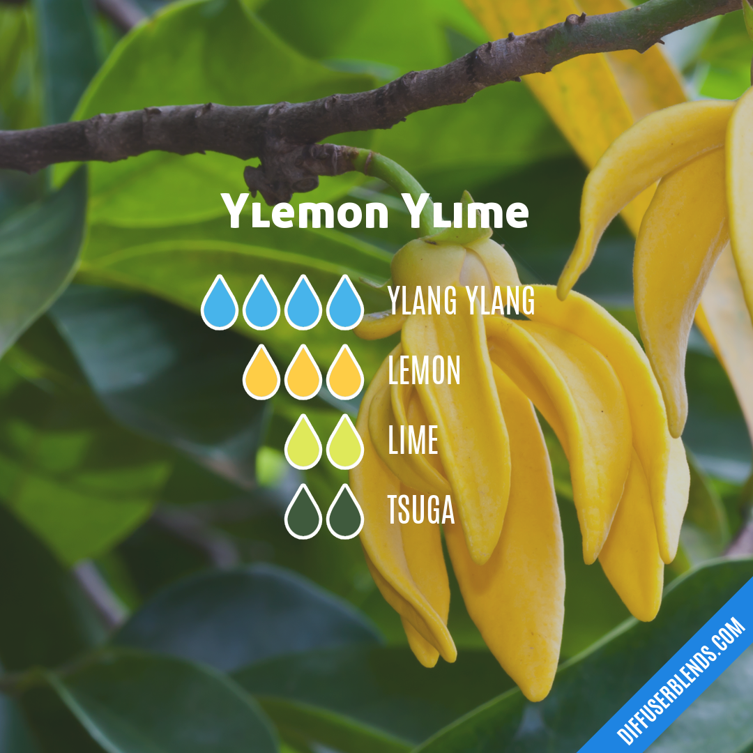 Ylemon Ylime | DiffuserBlends.com