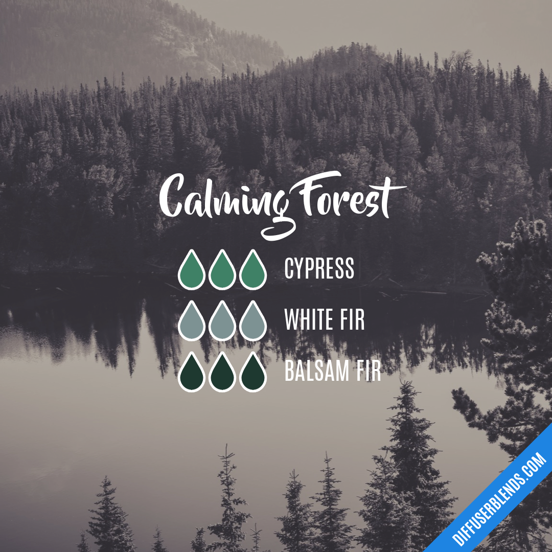 Calming Forest | DiffuserBlends.com