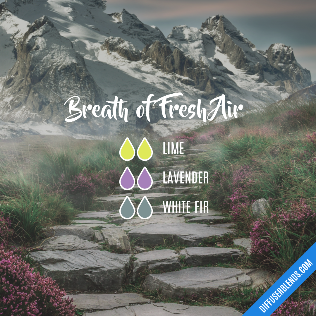 Breath of Fresh Air | DiffuserBlends.com