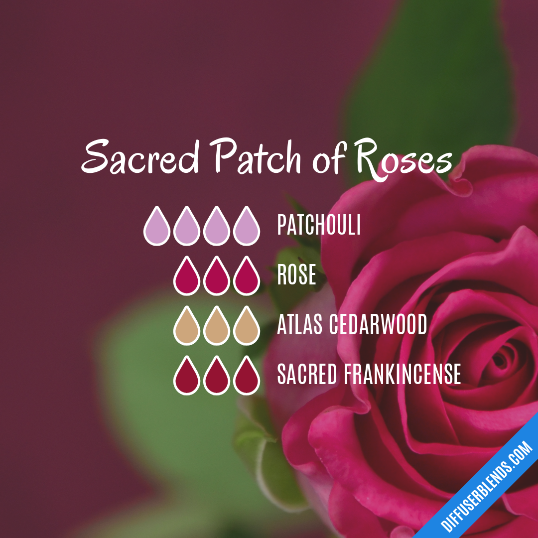 Sacred Patch of Roses | DiffuserBlends.com