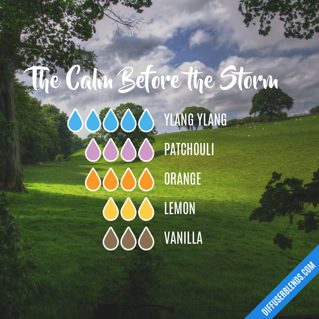 The Calm Before the Storm | DiffuserBlends.com