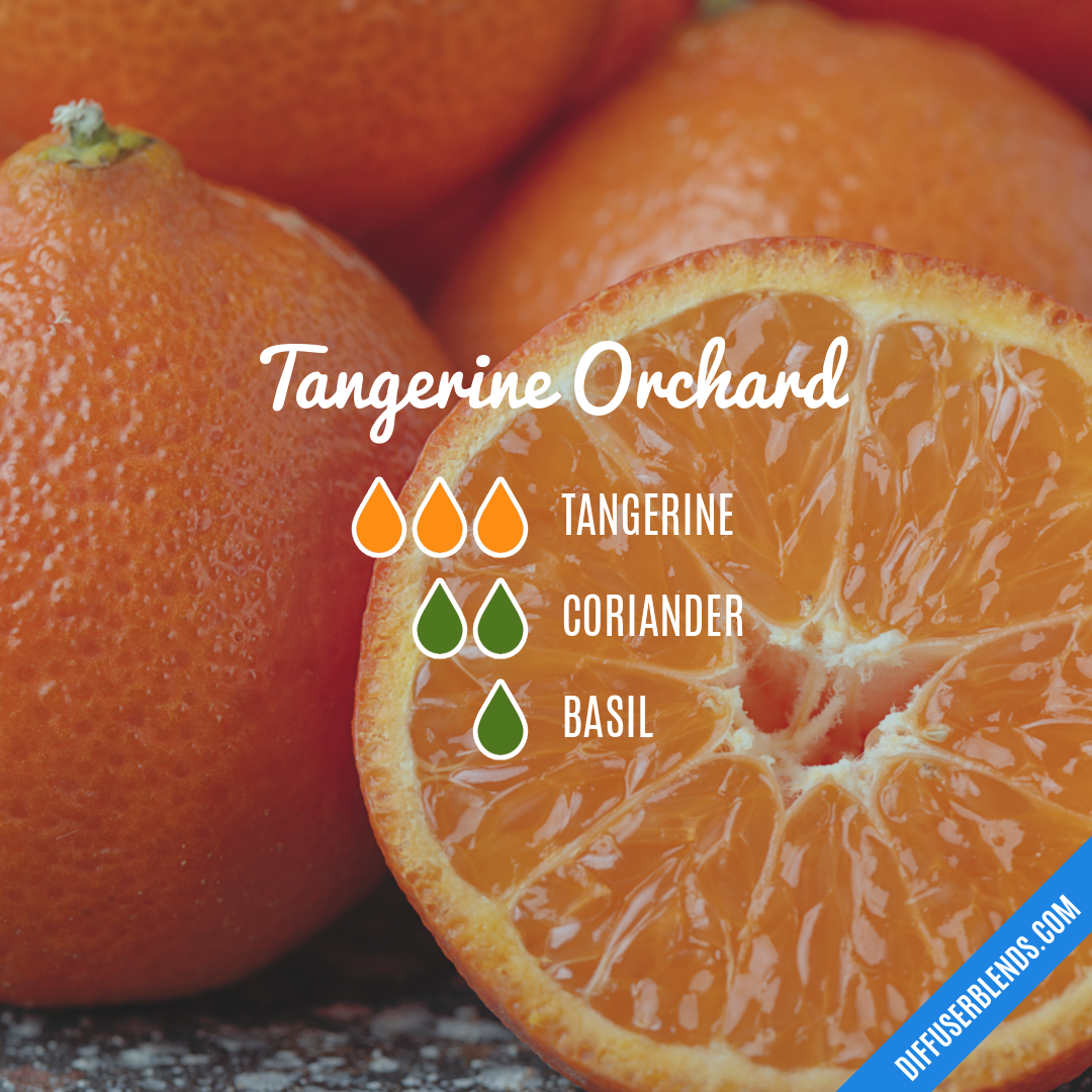 Tangerine Orchard | DiffuserBlends.com
