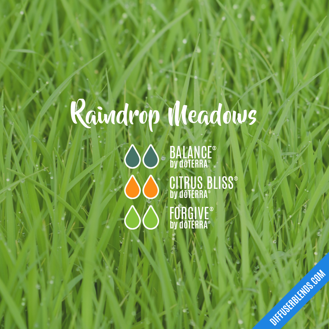 Raindrop Meadows | DiffuserBlends.com