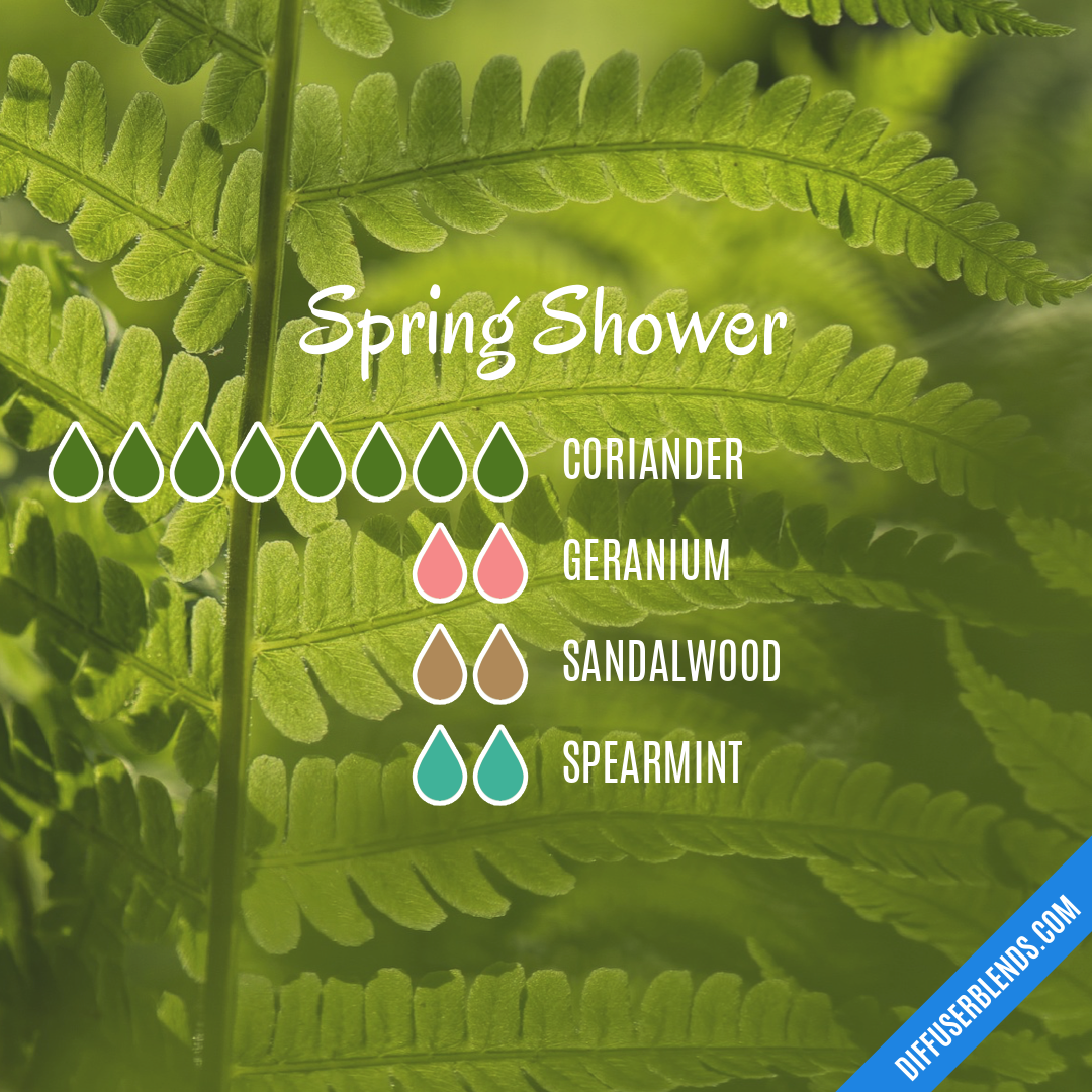 Spring Shower | DiffuserBlends.com