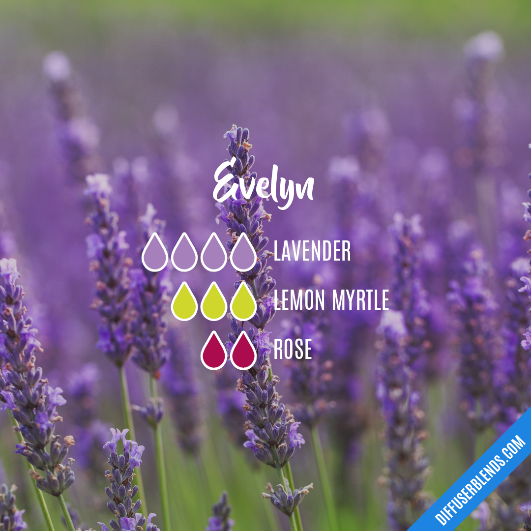 Evelyn | DiffuserBlends.com