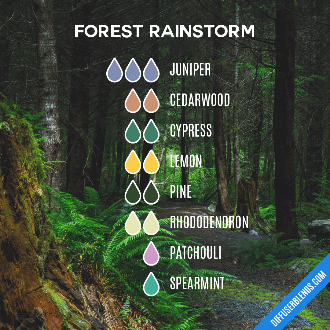 Forest Rainstorm | DiffuserBlends.com