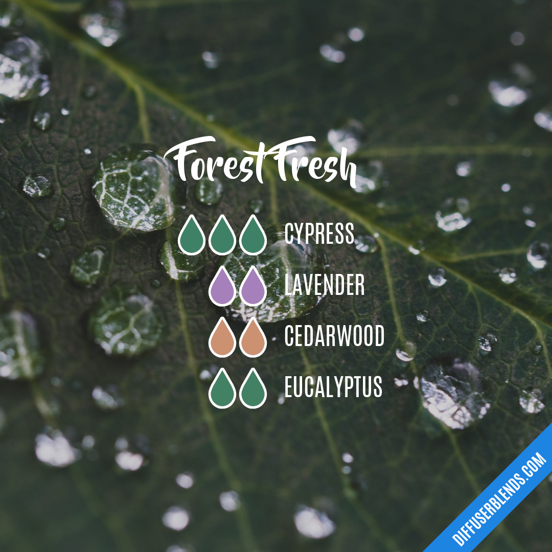 Forest Fresh | DiffuserBlends.com