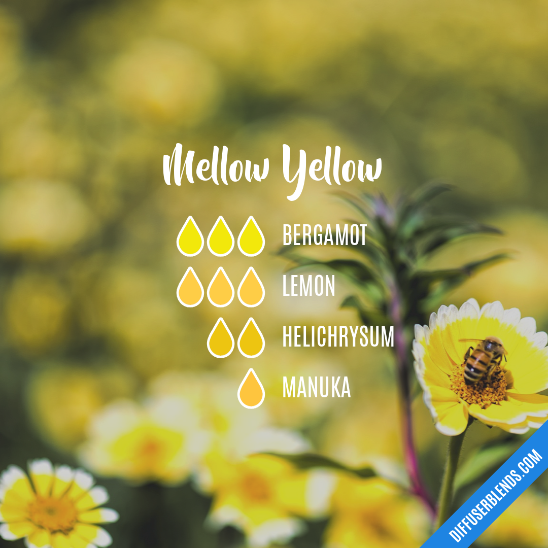 Mellow Yellow | DiffuserBlends.com