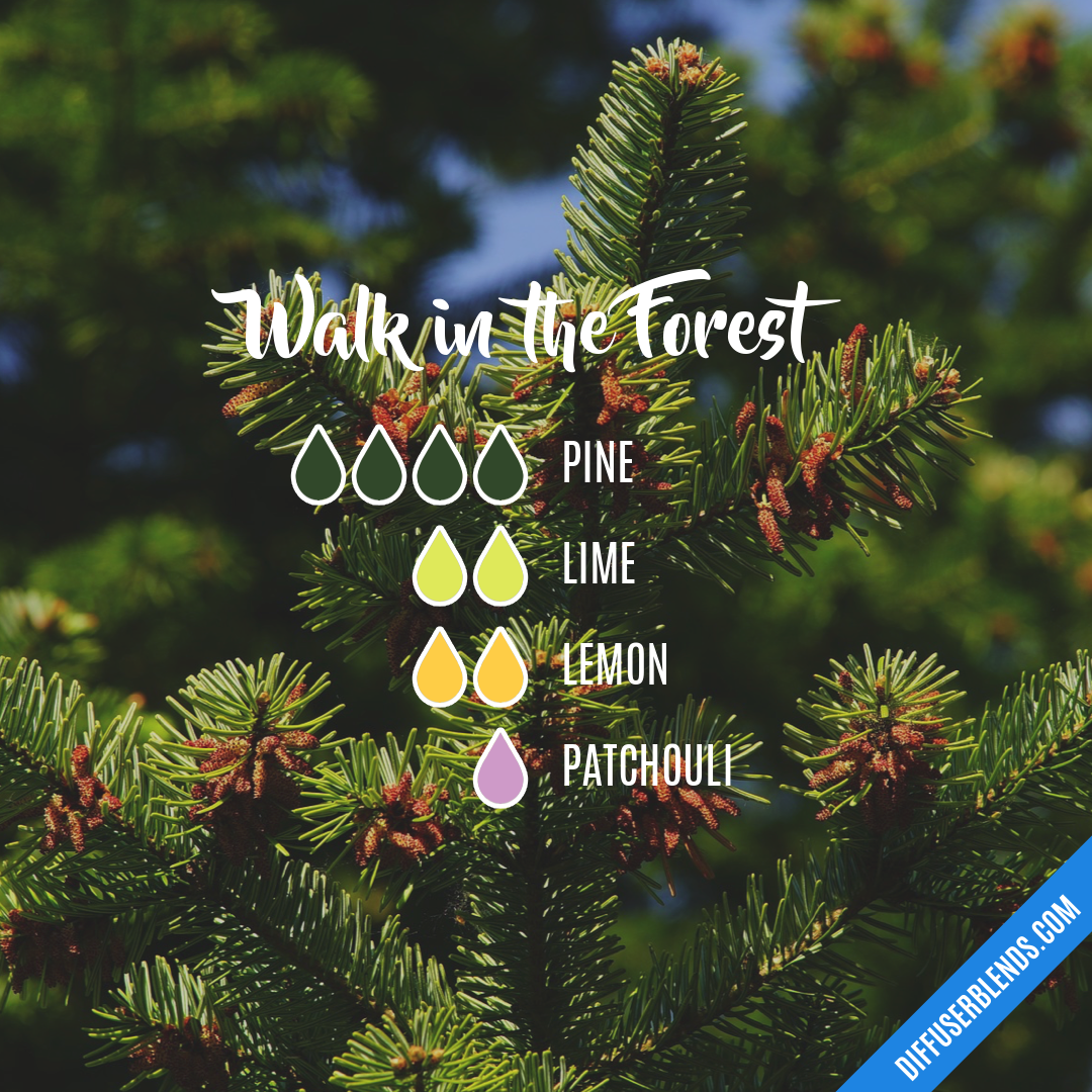 Walk in the Forest | DiffuserBlends.com