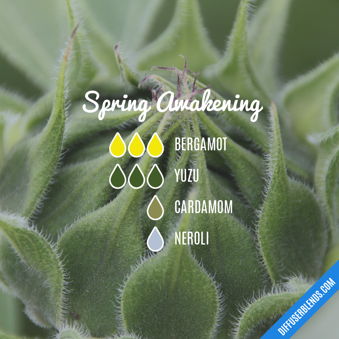 Spring Awakening | DiffuserBlends.com