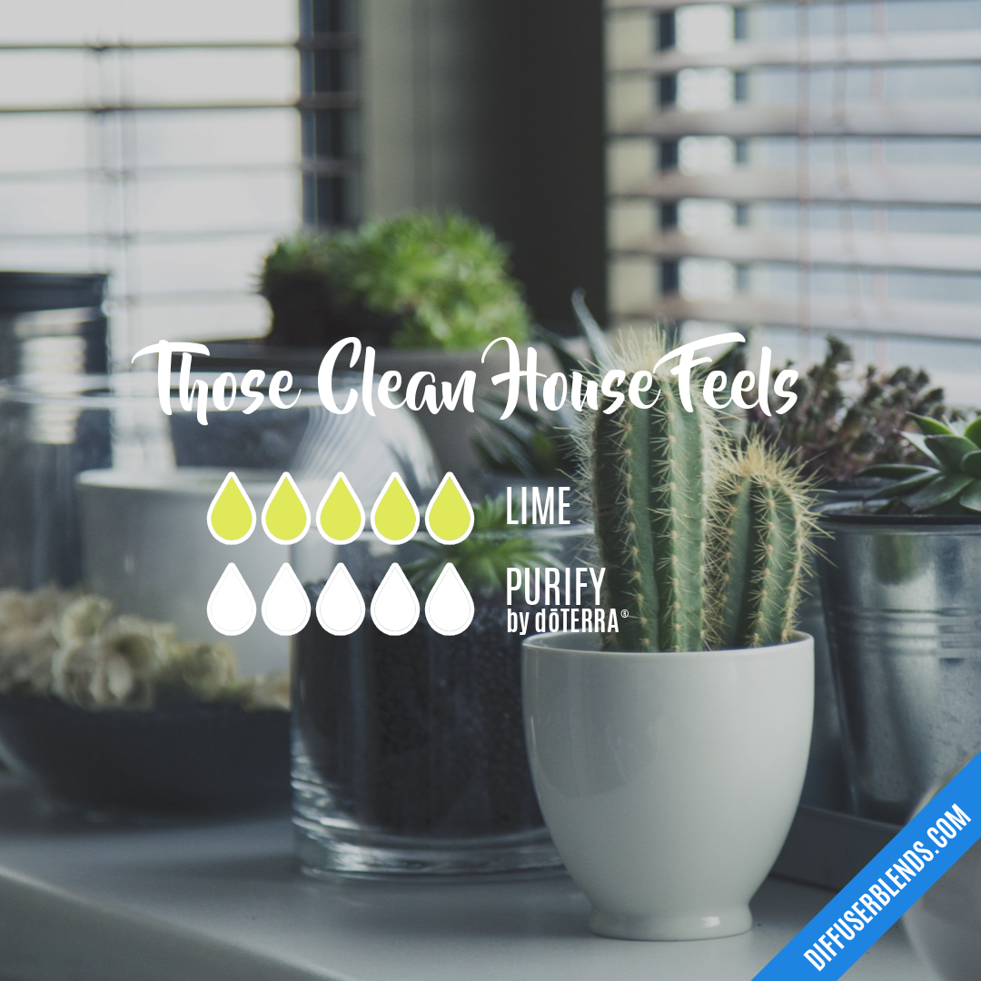 Those Clean House Feels | DiffuserBlends.com