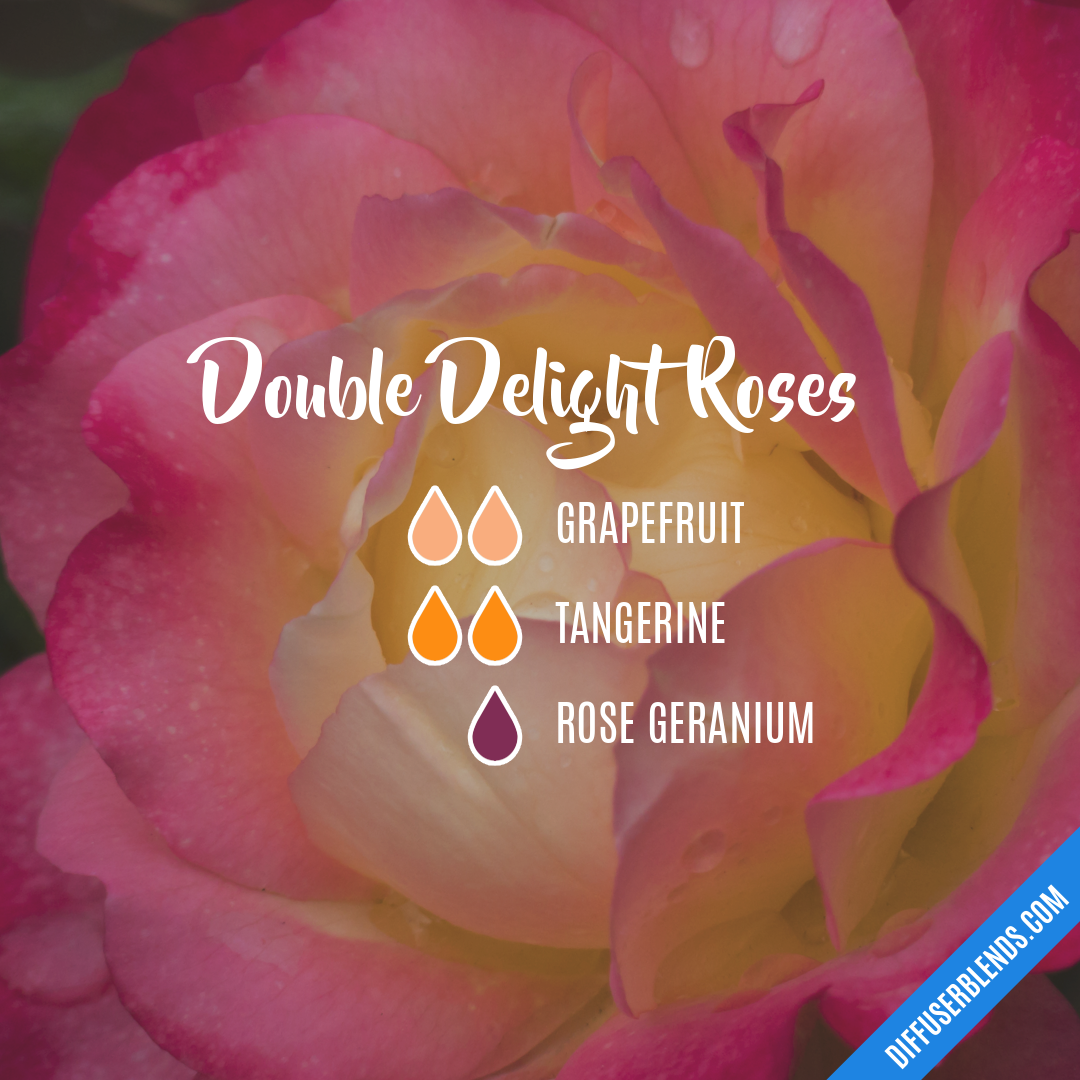Double Delight Roses | DiffuserBlends.com