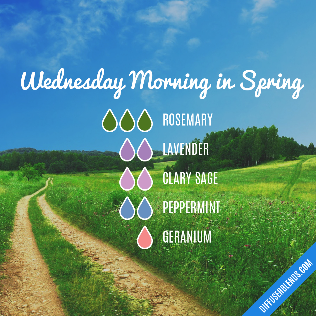 Wednesday Morning in Spring | DiffuserBlends.com