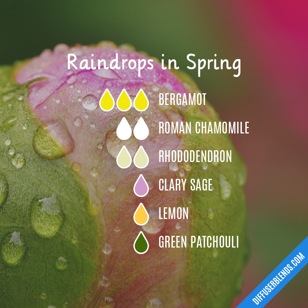 Raindrops in Spring | DiffuserBlends.com
